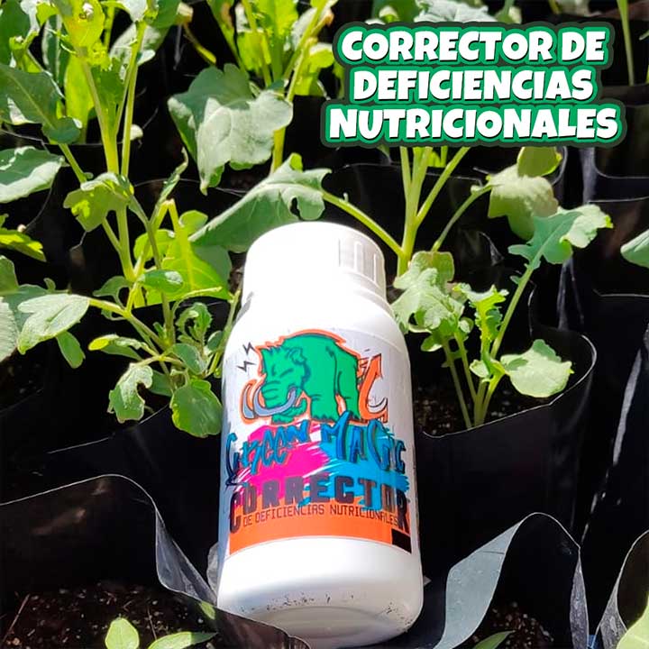 Green magic | Green Monkey