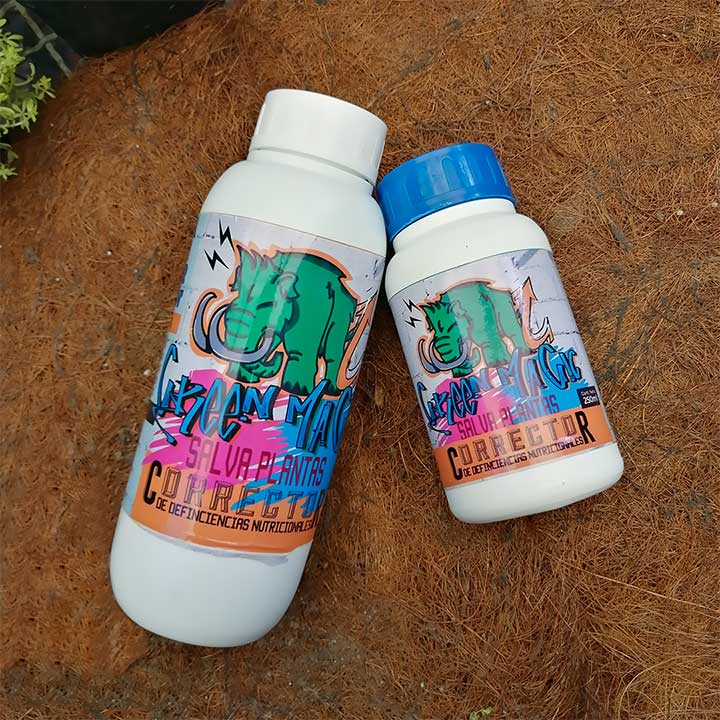 Green magic | Green Monkey