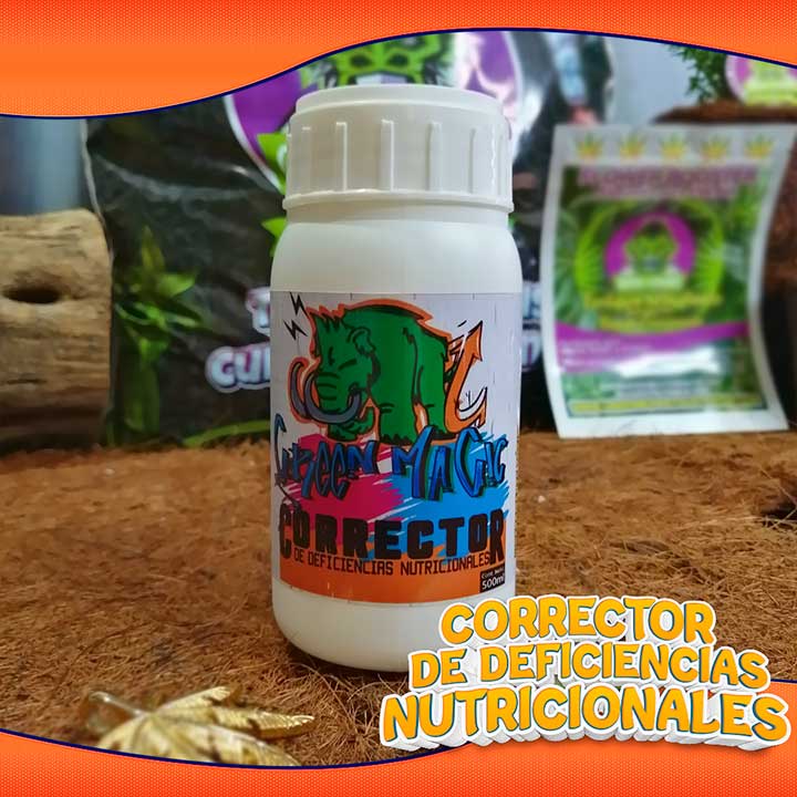 Green magic | Green Monkey