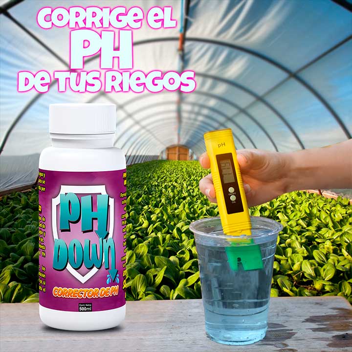 PH Down | Green Monkey